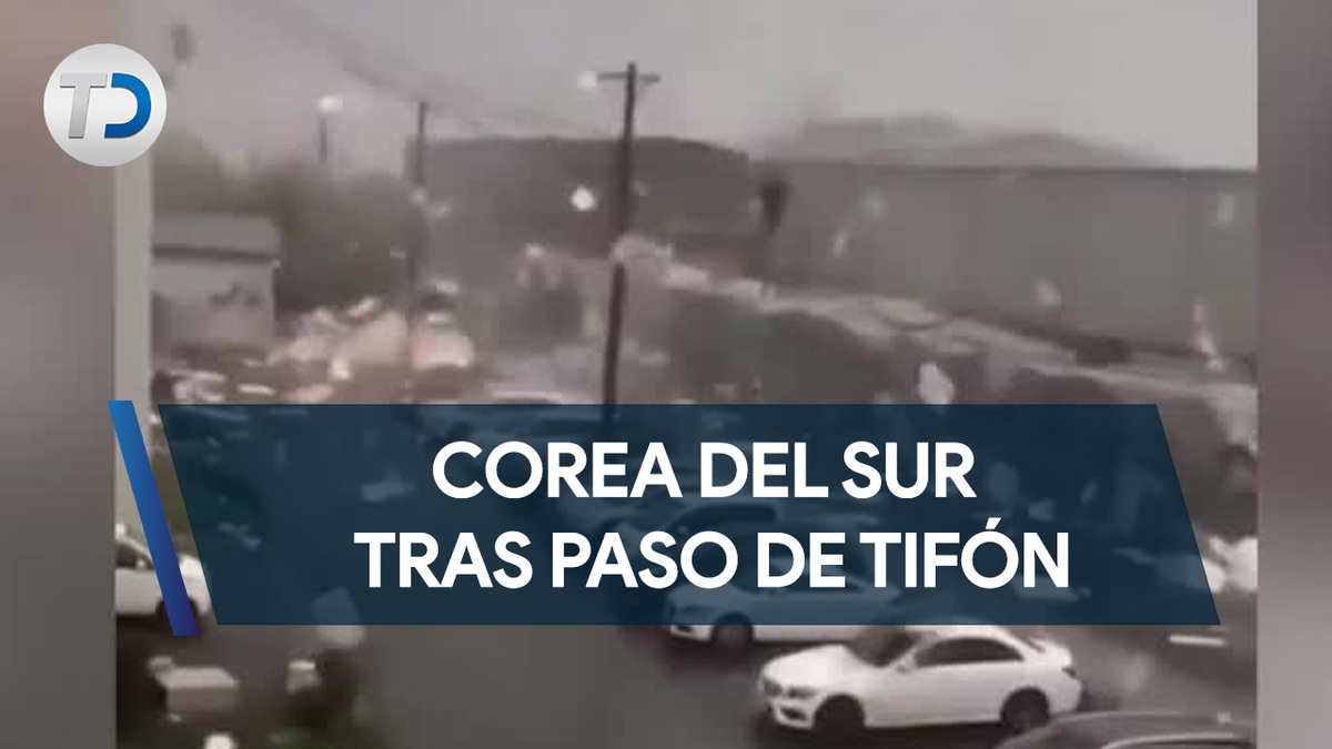 Consecuencias que dejo un Tifón en Corea del Sur| Telediario Costa Rica