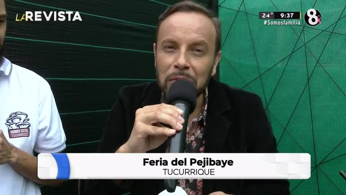 Feria del Pejibaye en Tucurrique| Telediario Costa Rica