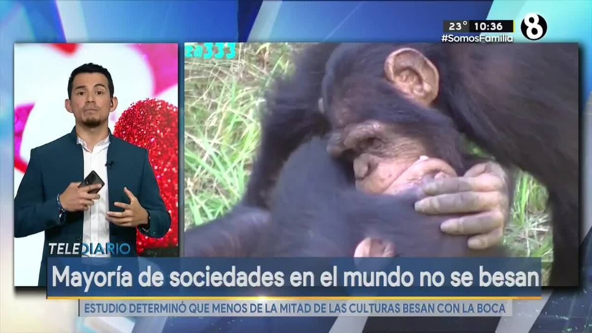 ¿Por qué nos besamos?| Telediario Costa Rica
