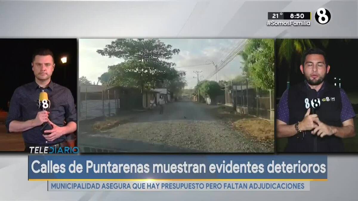 Verónica González recibió una gallina como regalo de cumpleaños ...