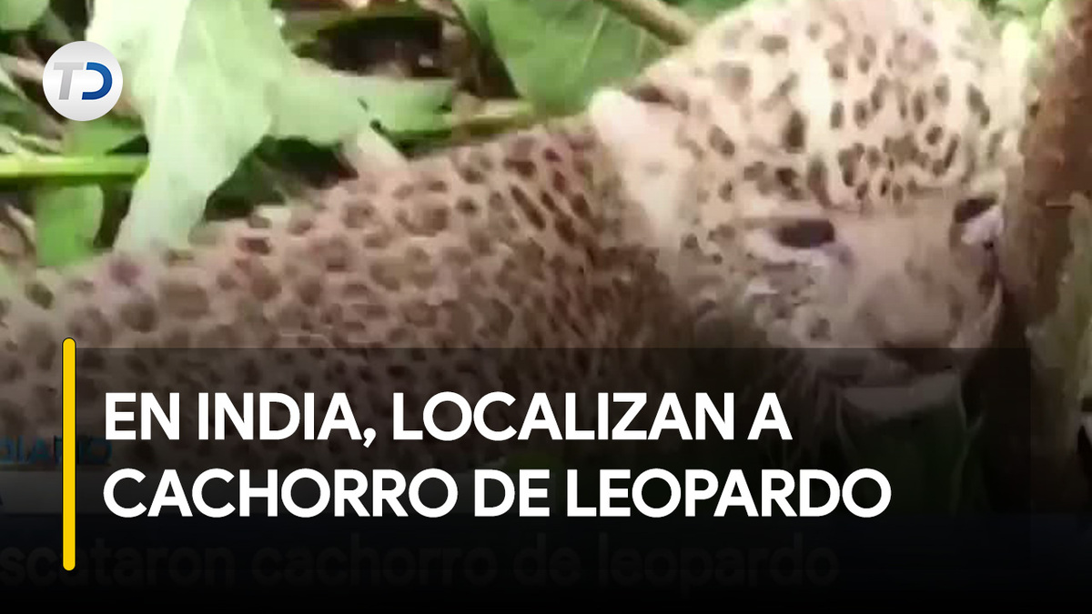 Televisión: Telediario Costa Rica EN VIVO