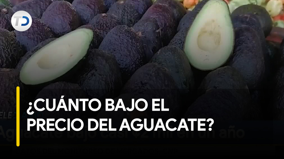 Precio del aguacate bajó casi dos mil colones en un año| Telediario ...