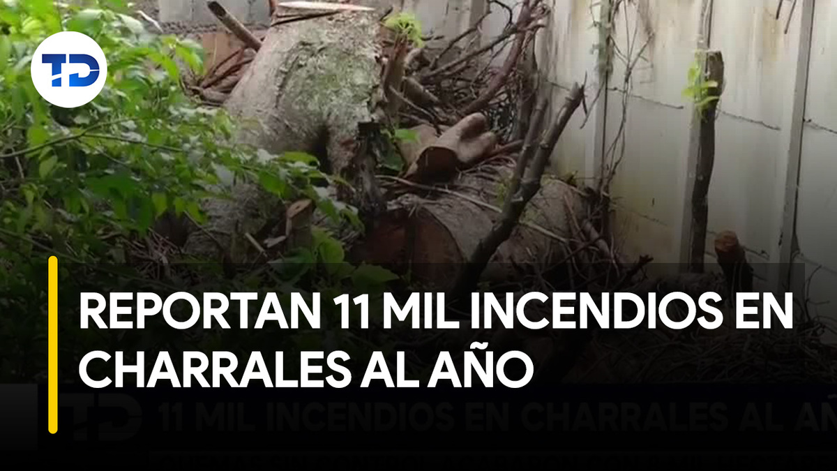 Costa Rica reporta 11 mil incendios en charrales al año| Telediario ...