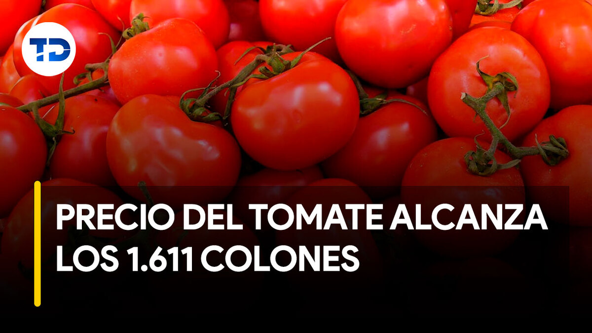 Precio del tomate alcanzó los 1.611 colones esta semana| Telediario ...